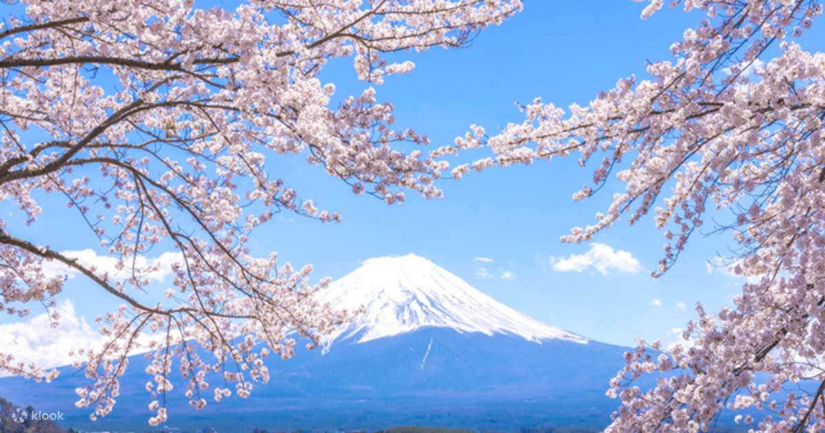 Mt. Fuji, Mt Fuji Panoramic Ropeway & Seasonal Fruits Picking Day Tour from Tokyo - Klook Singapore